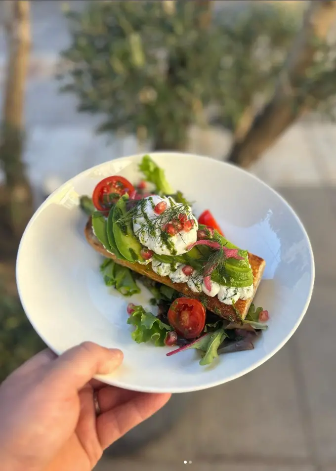 Olea - Olea - Restaurant / Brasserie
