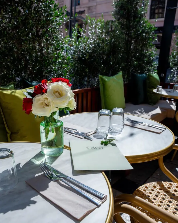 Olea - Olea - Restaurant / Brasserie