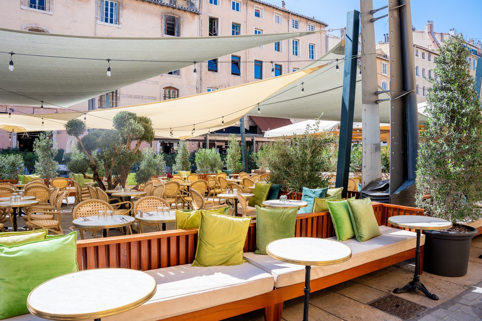 Olea - Olea - Restaurant / Brasserie